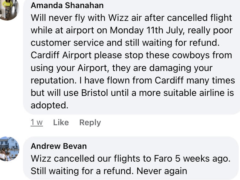 Gee Wizz! - The Eye Magazine